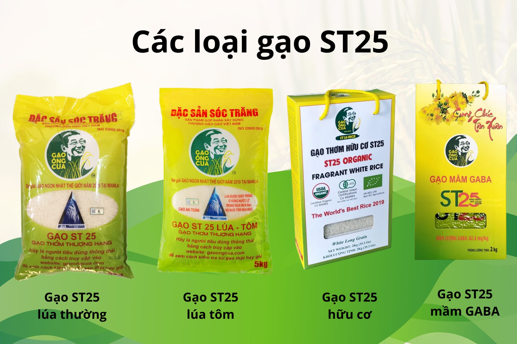 Gạo ST25 là gì? Mua ở đâu? Giá gạo ST25 mới nhất hiện nay
